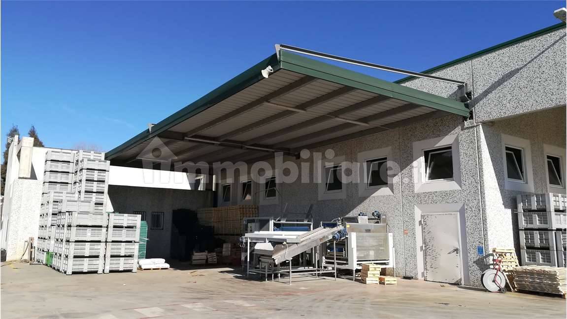 Capannone in Vendita