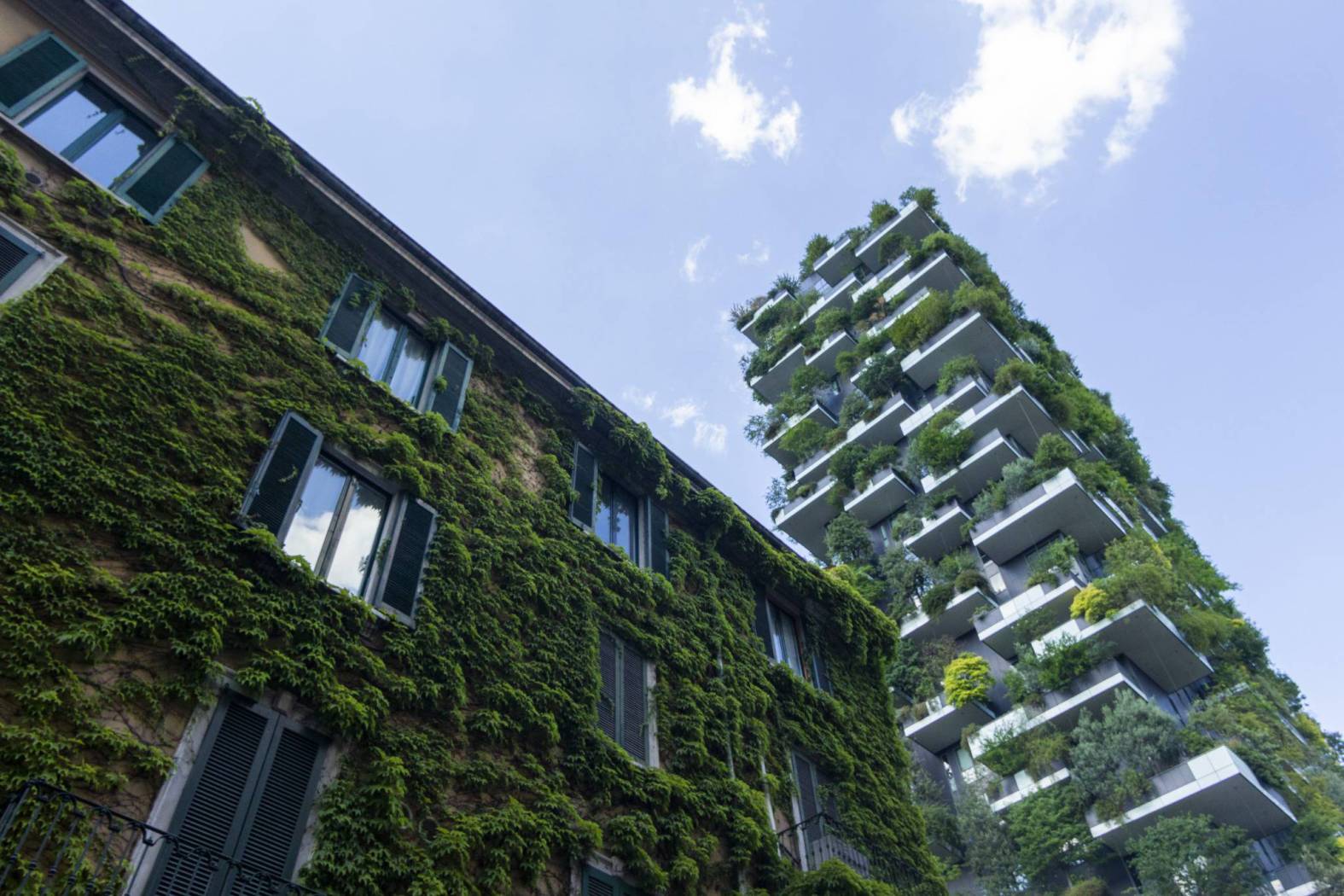 Locale commerciale in Vendita