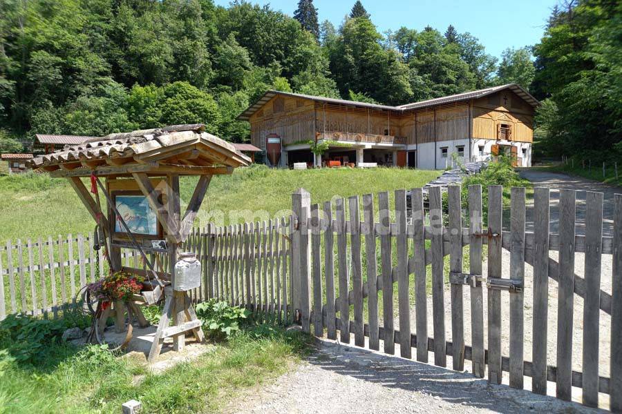 Azienda agricola in Vendita