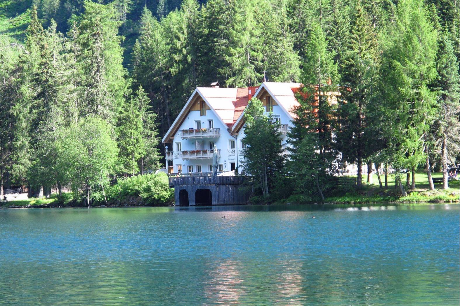 Alimentari - Gastronomia in Vendita