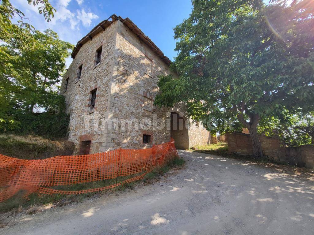 Azienda agricola in Vendita