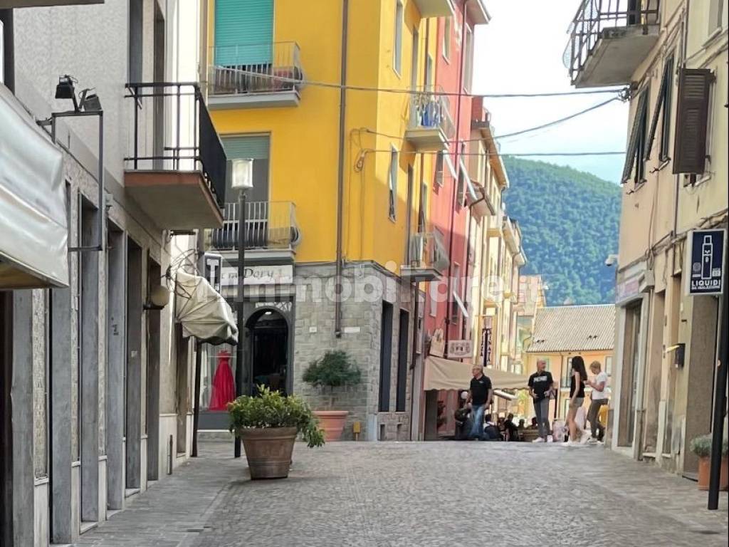 Vendita Terratetto plurifamiliare in via Apua 43 Aulla. Buono stato ...