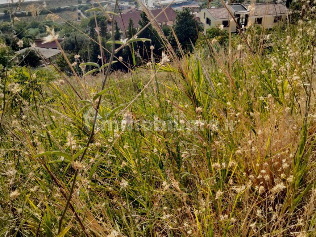 Terreno edificabile via Colongi 12, Amantea, rif. 97832186 - Immobiliare.it