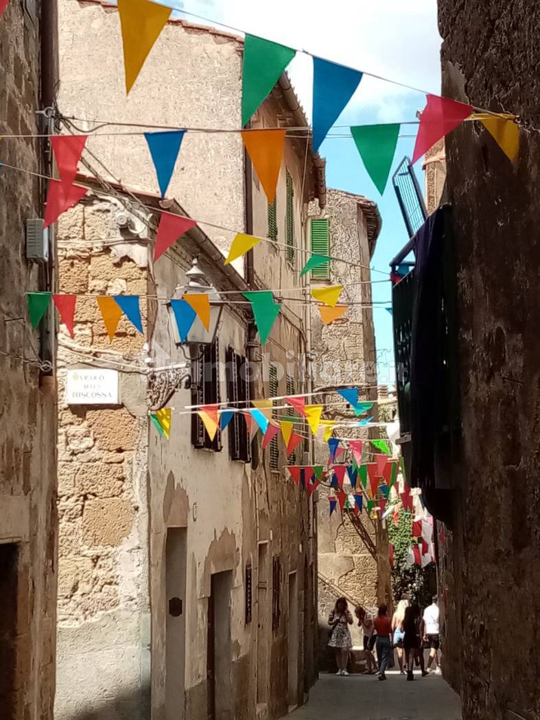 Bilocale via Zuccarelli, Centro, Pitigliano