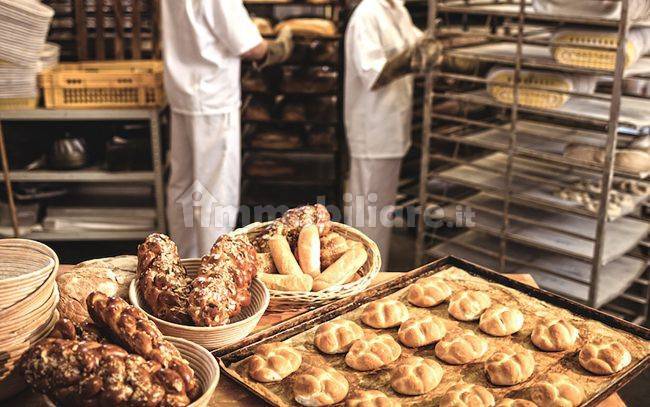 Panificio in Vendita