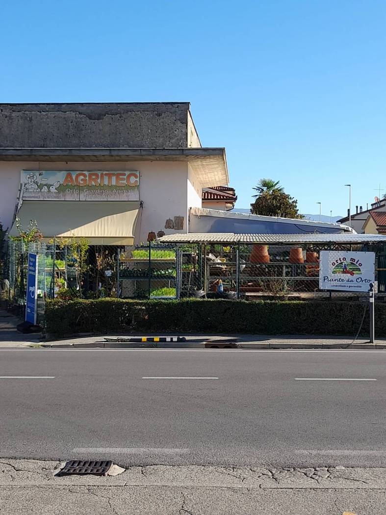 Attività commerciale in Vendita