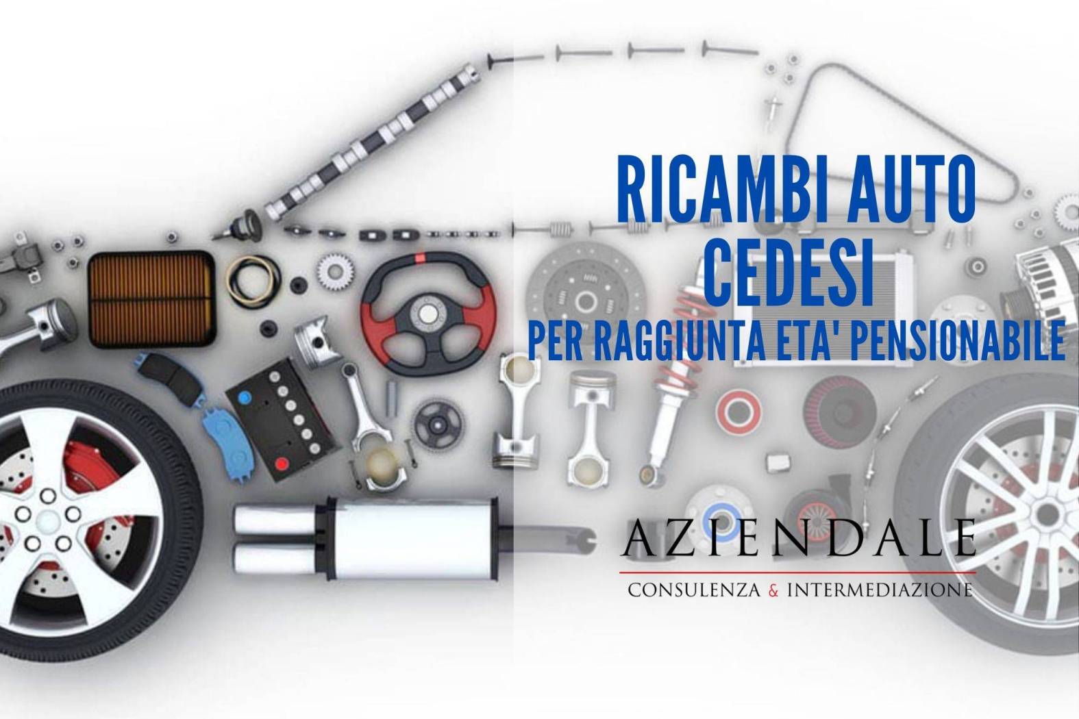 Negozio di Ricambi e accessori in Vendita