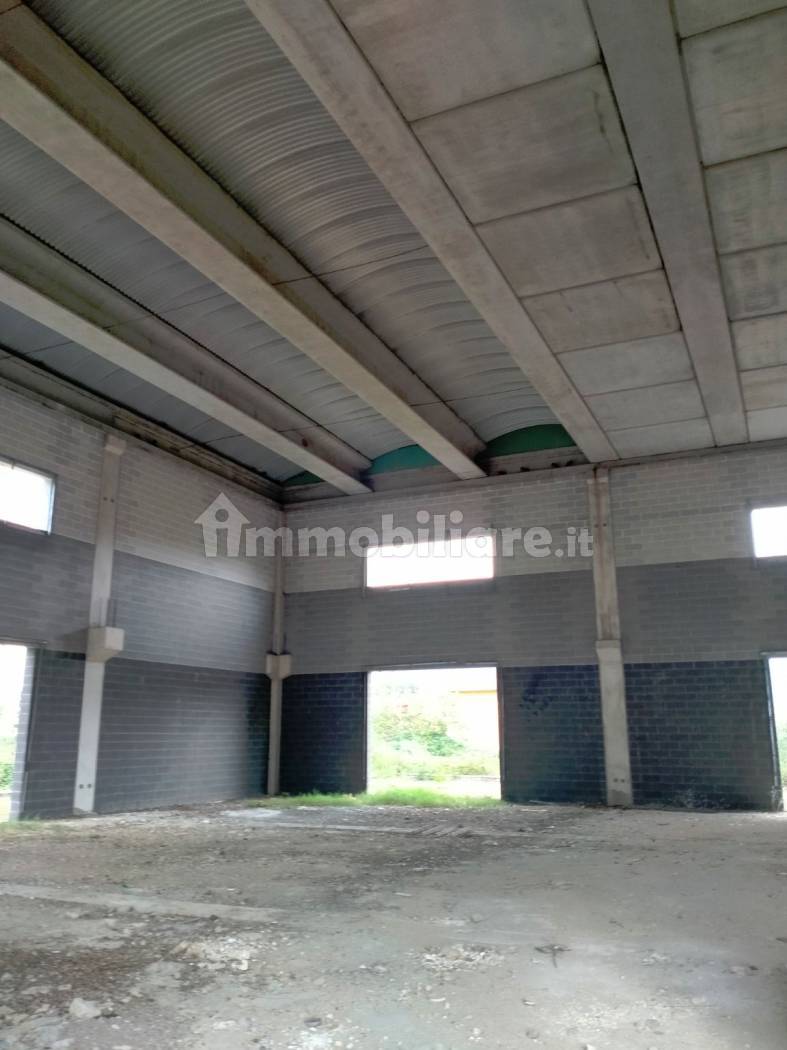 Capannone in Vendita