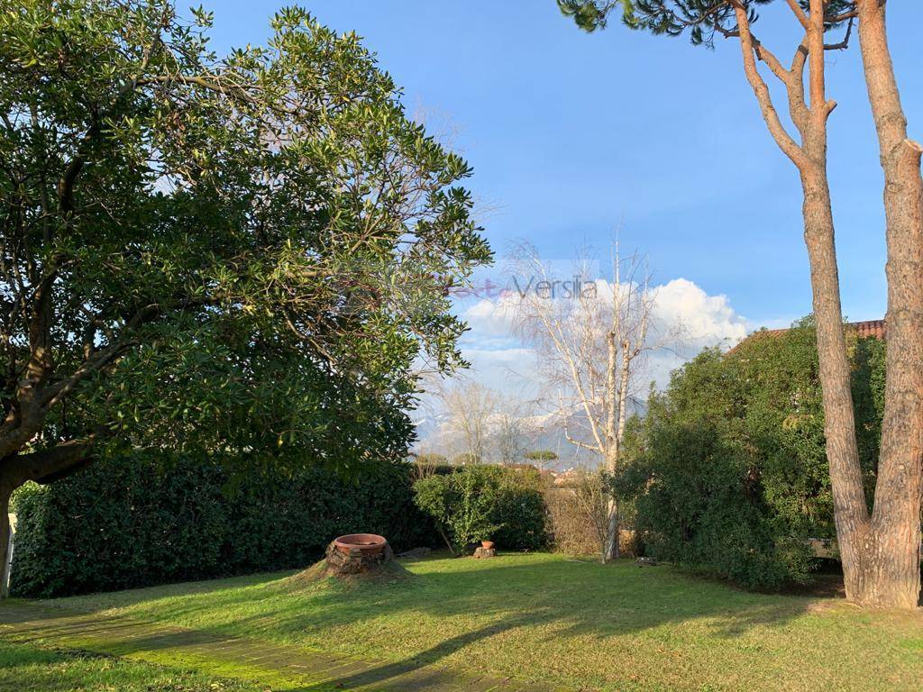 Appartamento buono stato, primo piano, Marina di Massa Centro, Massa