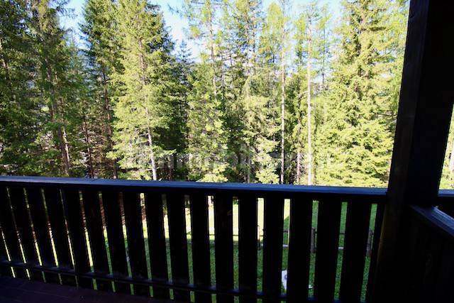 Bilocale buono stato, piano terra, Selva di Cadore