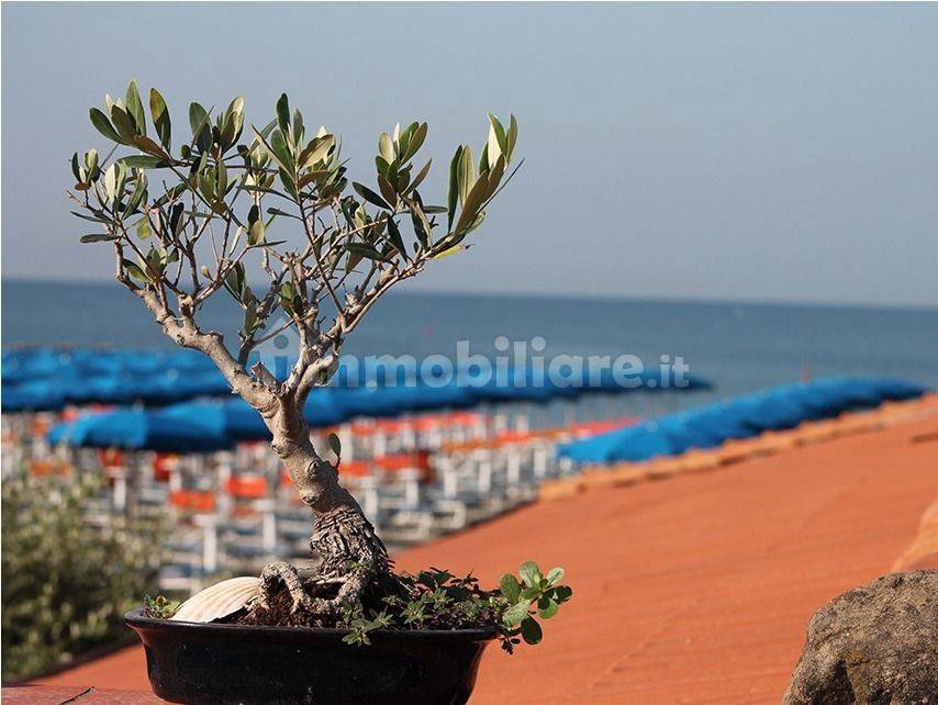 Appartamento ottimo stato, piano rialzato, Marina di Carrara, Carrara