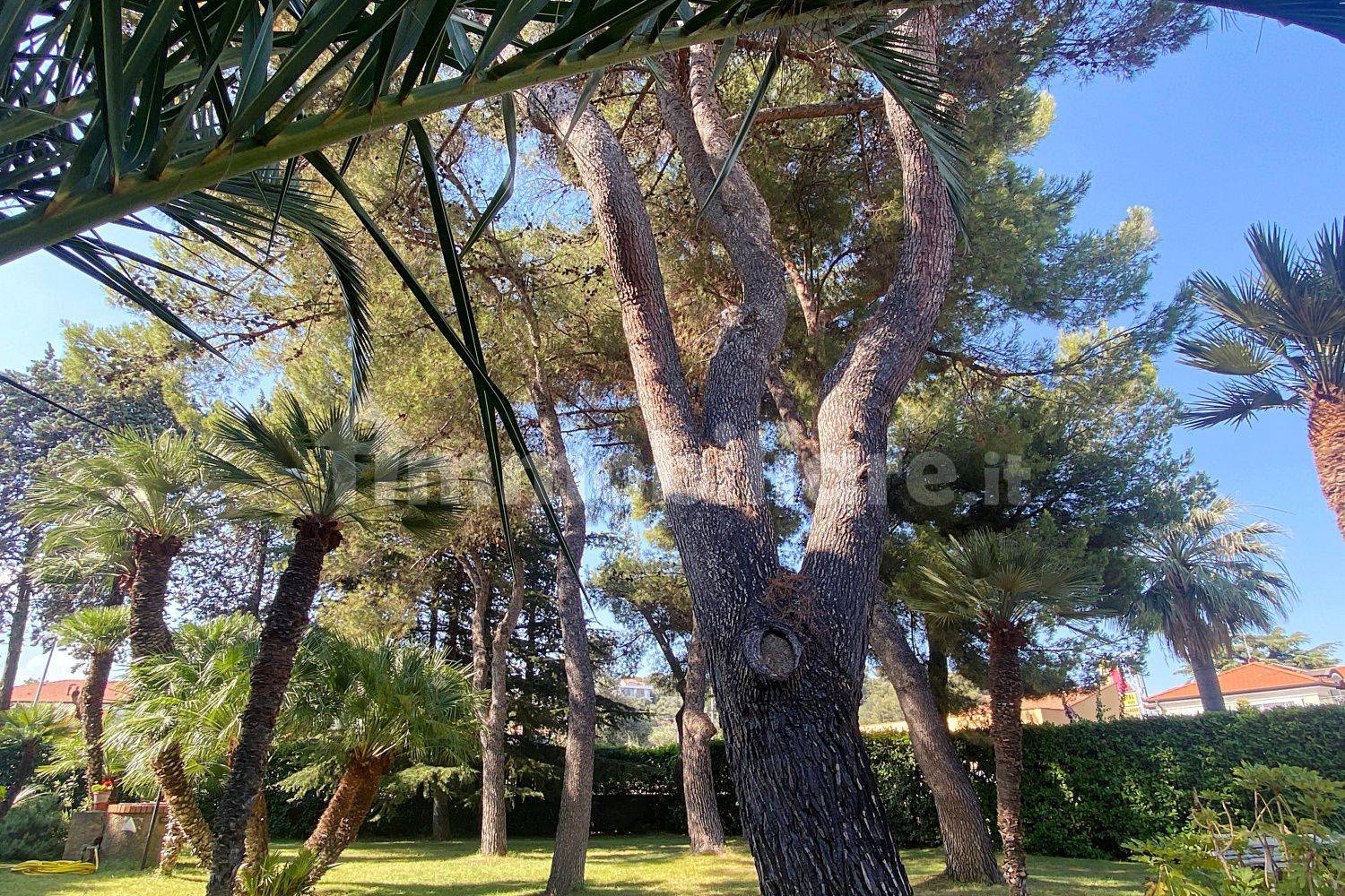 Trilocale via Generale Ardoino 166, Centro, Diano Marina