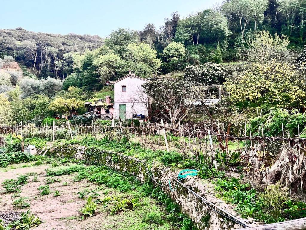 Vendita Rustico in Località San Pietro Monte Argentario. 30 m², rif ...
