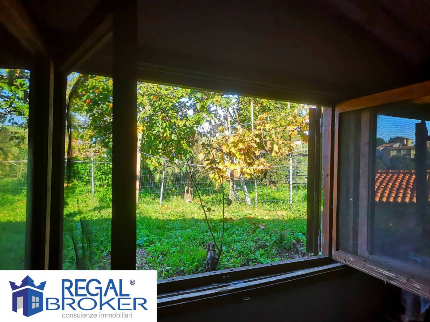 Appartamento via di Corte, Centro, Scansano