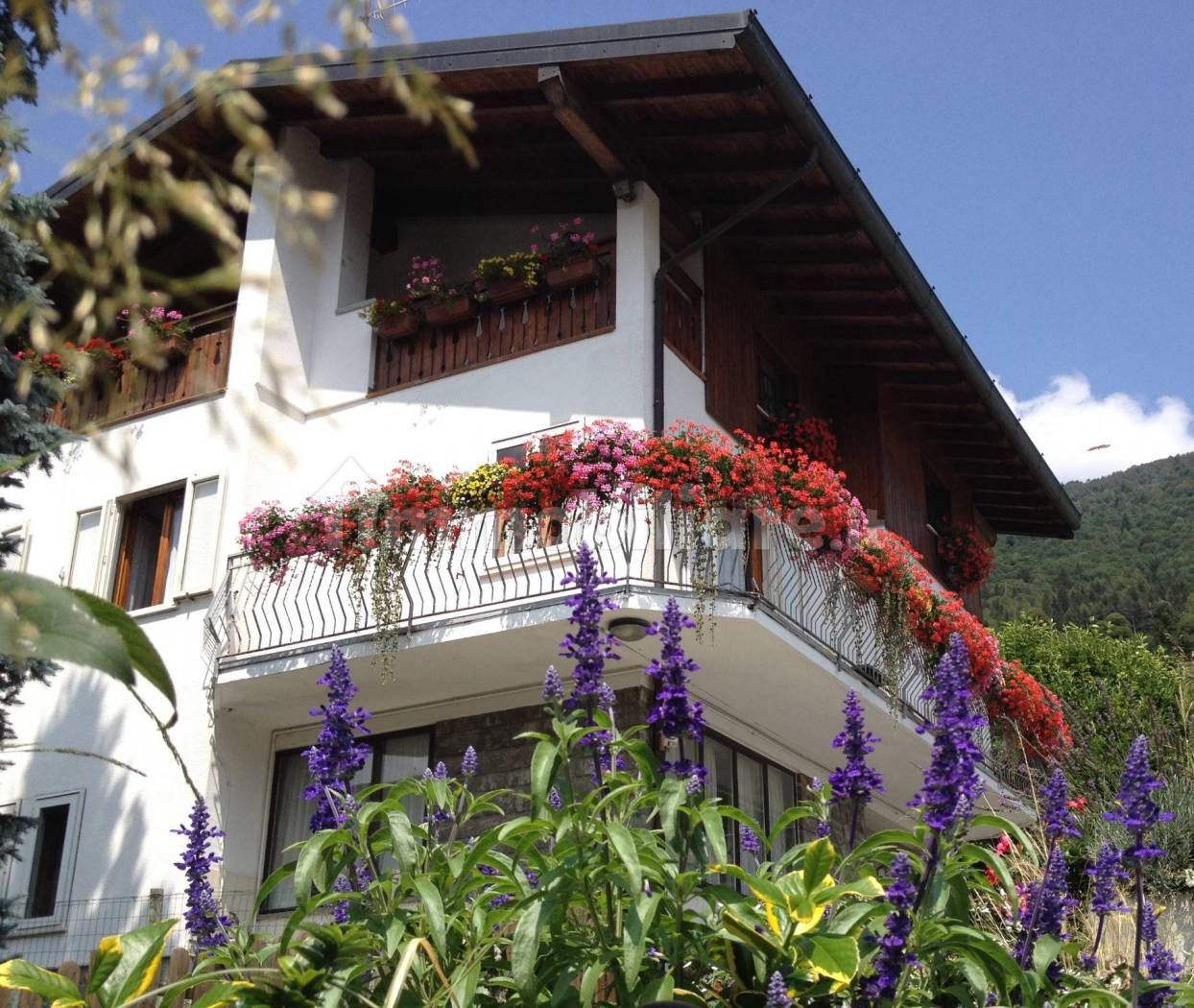 Attività commerciale in Vendita