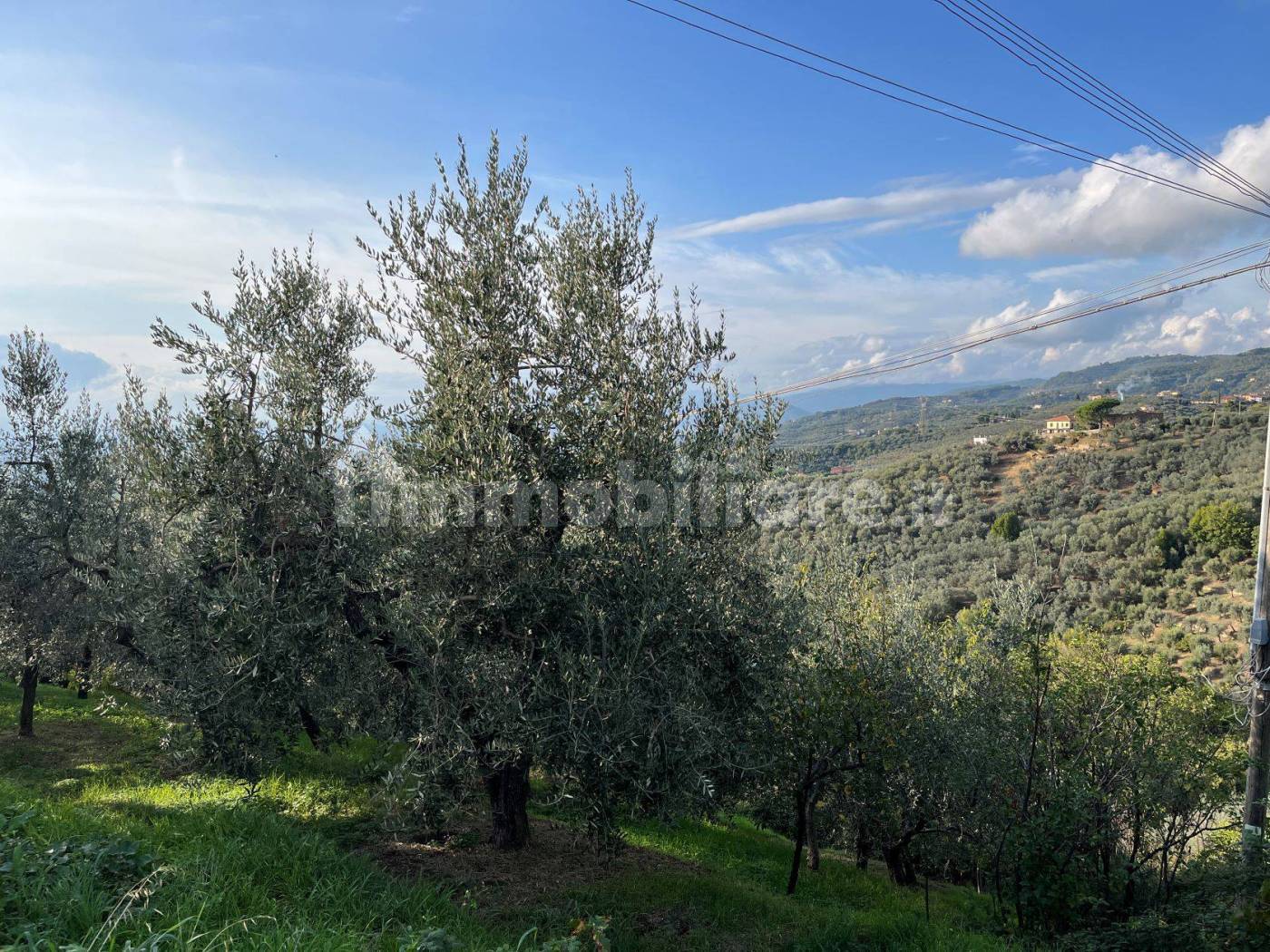 Monolocale via Lampaggio, Lamporecchio