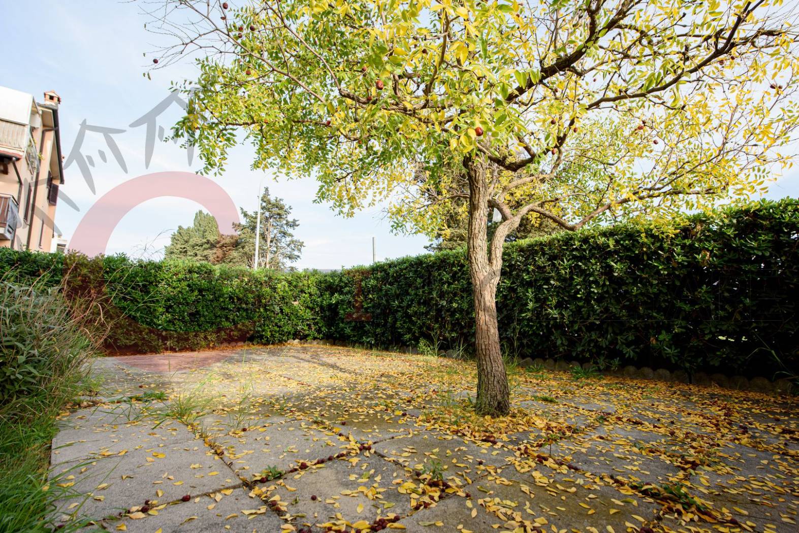 Quadrilocale buono stato, piano rialzato, Cassarello, Senzuno, Salciaina, Follonica