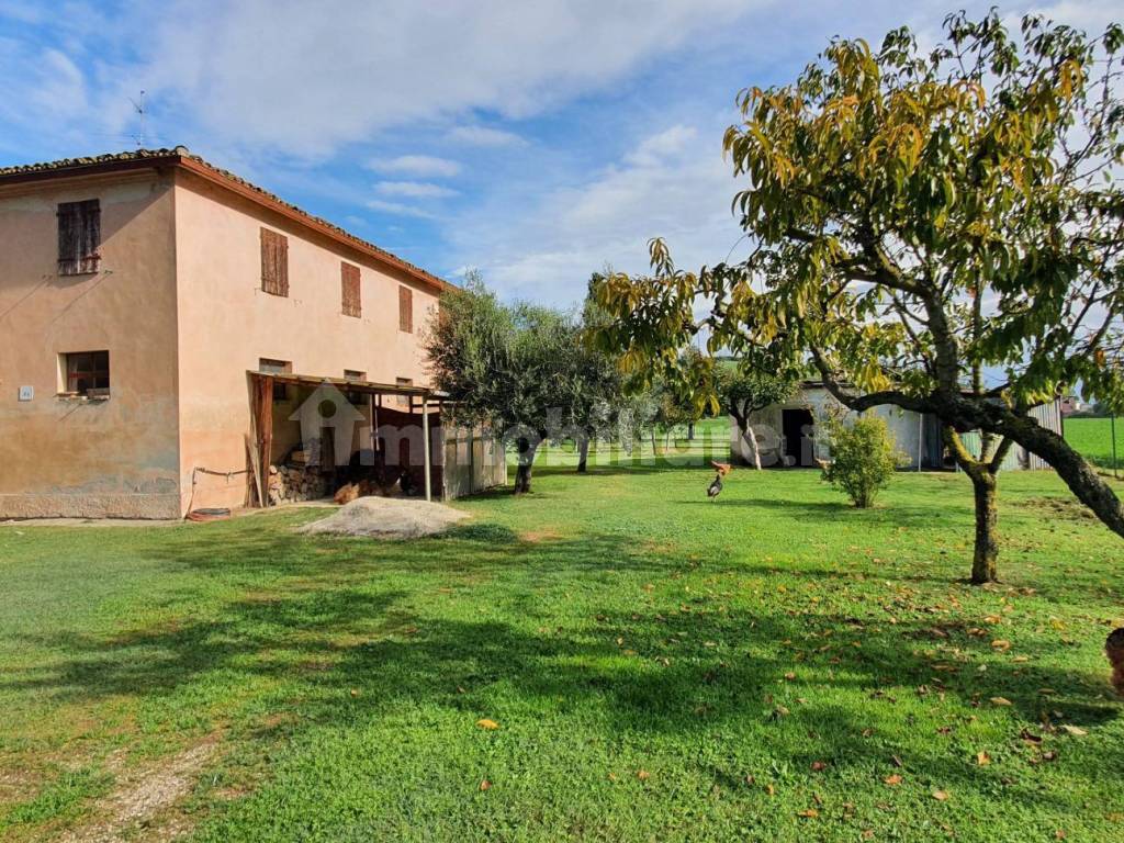 Vendita Casa colonica in Località Bevano Fano. Da ristrutturare, posto ...