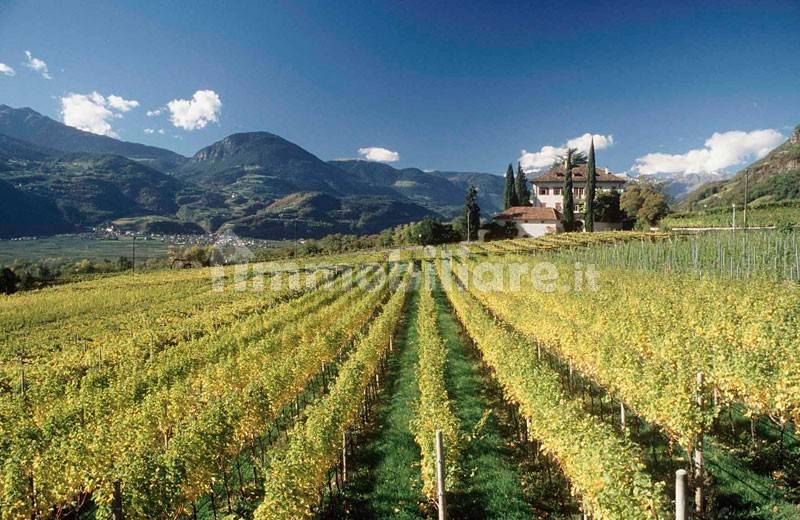 Villa a schiera 5 locali, ottimo stato, Gries - San Quirino, Bolzano