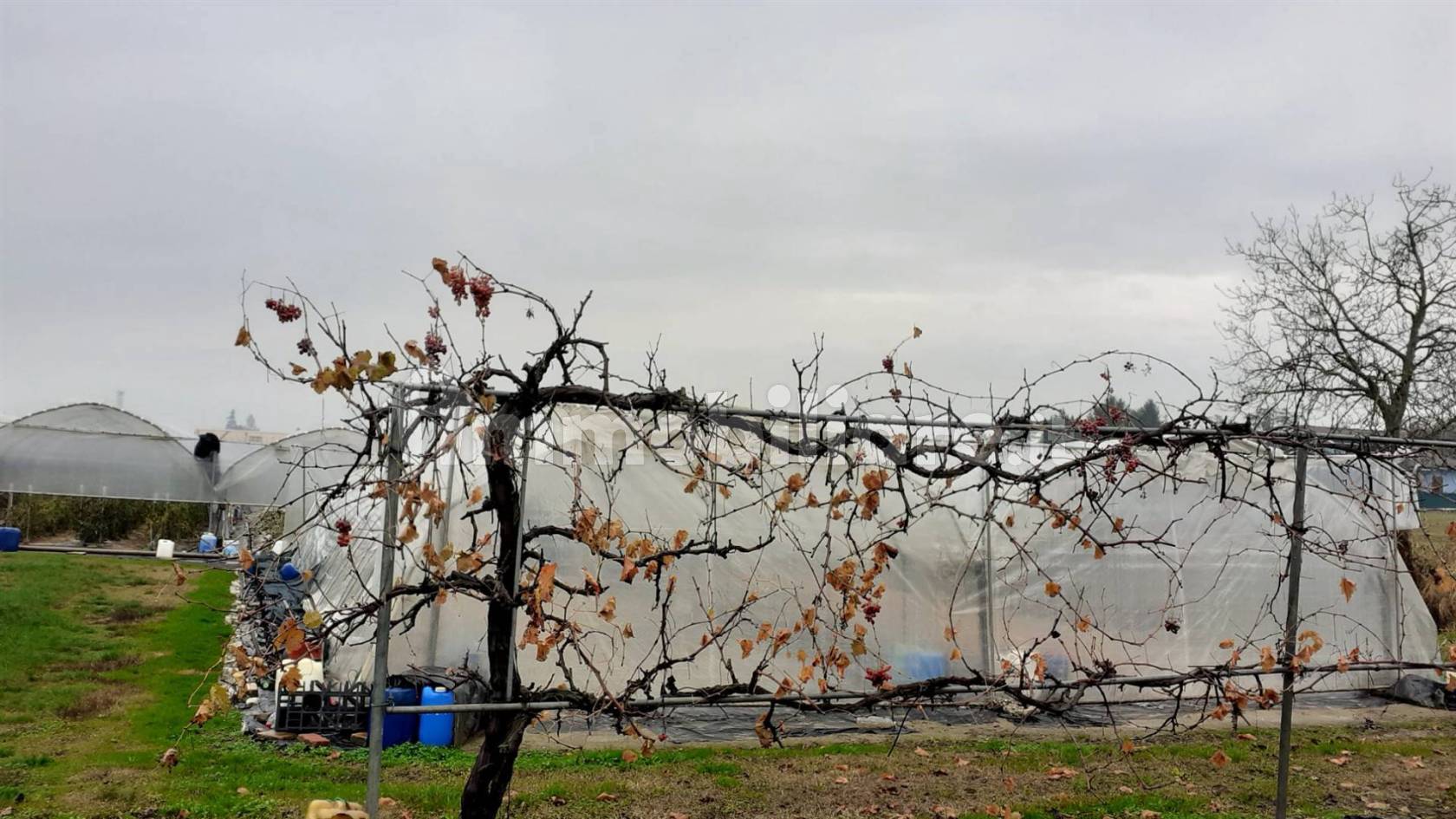 Locale commerciale in Vendita