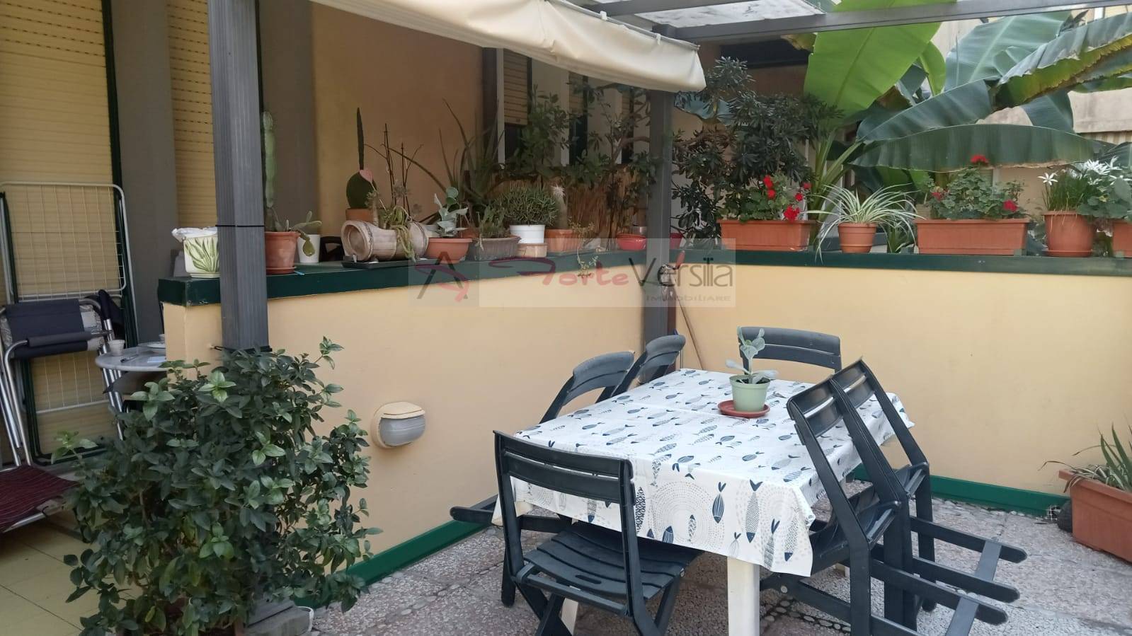 Trilocale via delle pinete, Cinquale, Montignoso