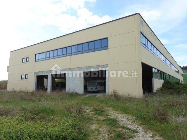 Capannone in Vendita