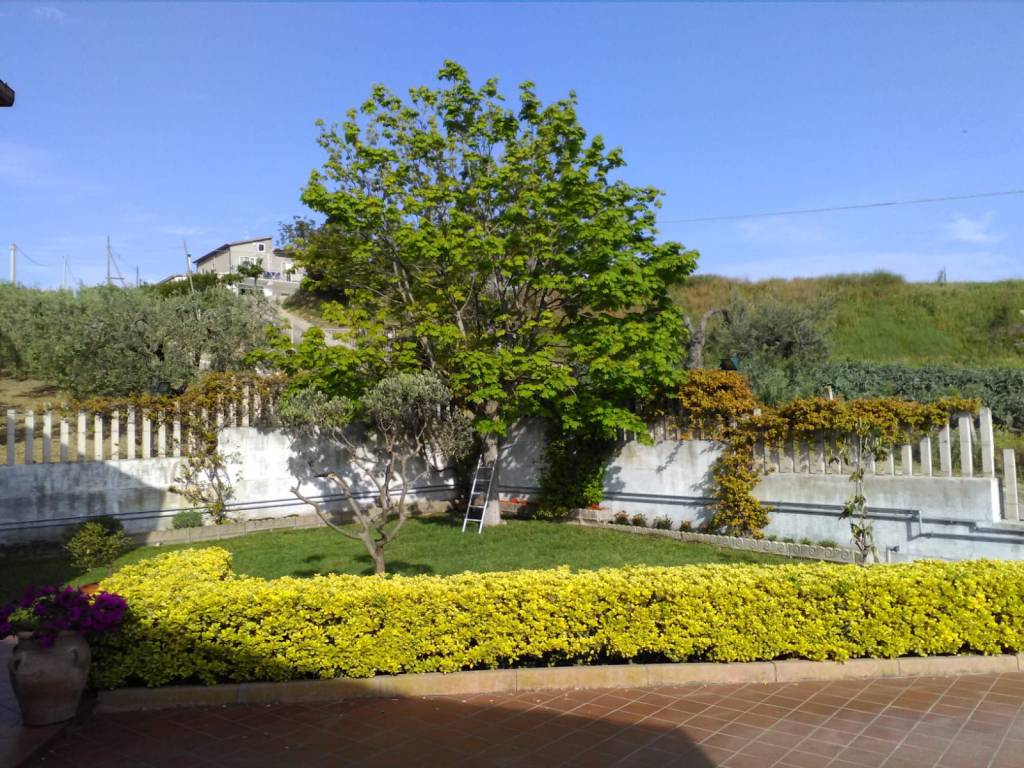 Vendita Villa a schiera in via degli Olmi 20 San Giacomo degli ...