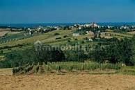 Locale commerciale in Vendita