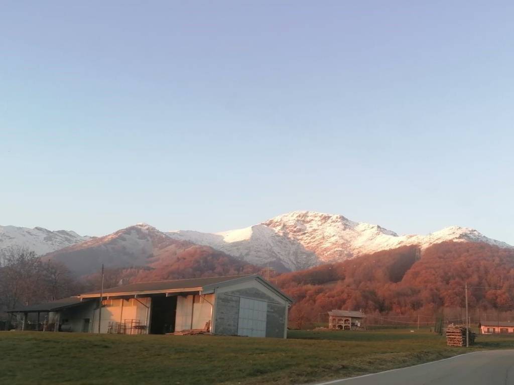 Vendita Rustico in via Bora Brosso. Da ristrutturare, 12000 m², rif ...