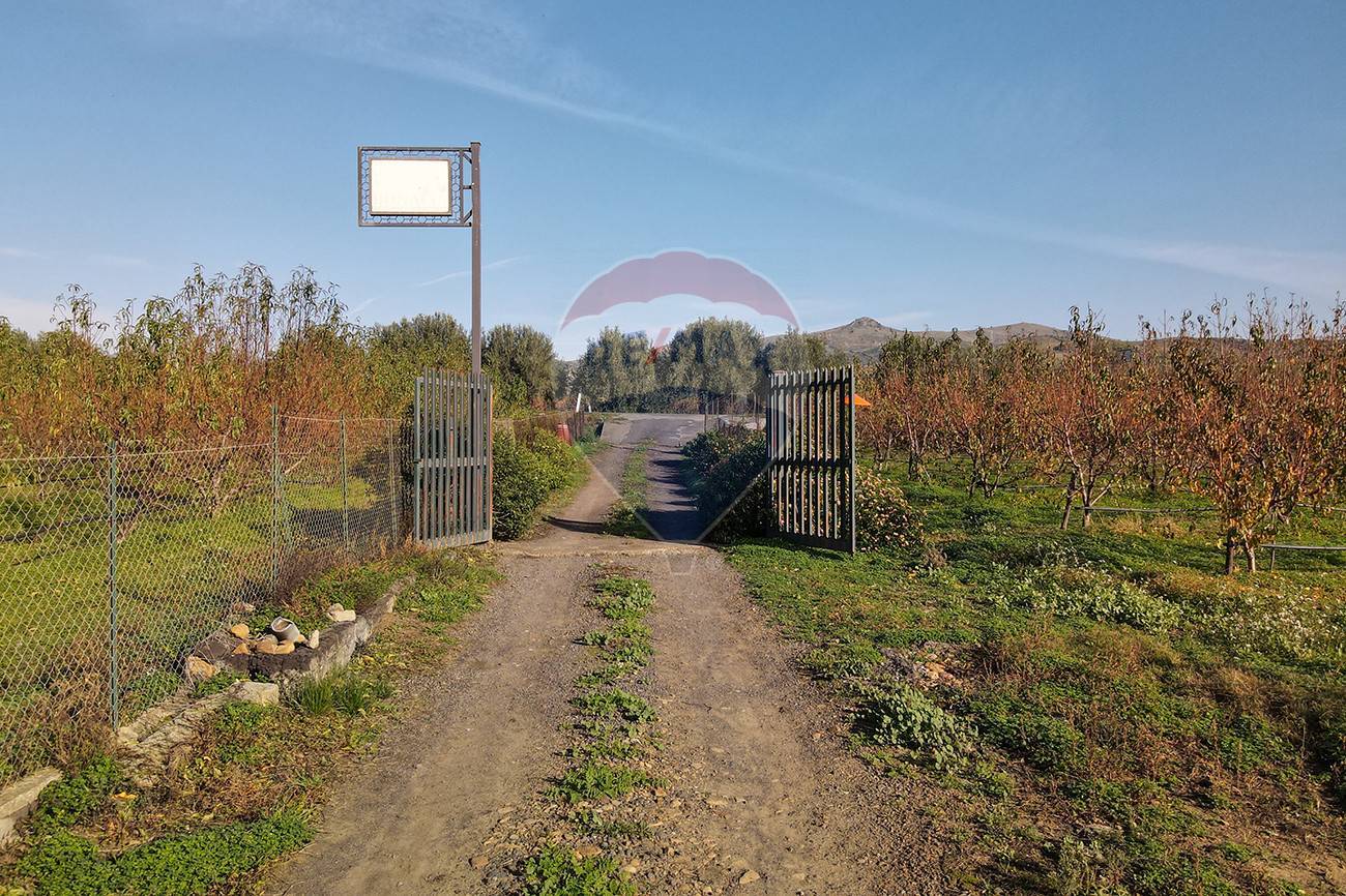 Azienda agricola in Vendita