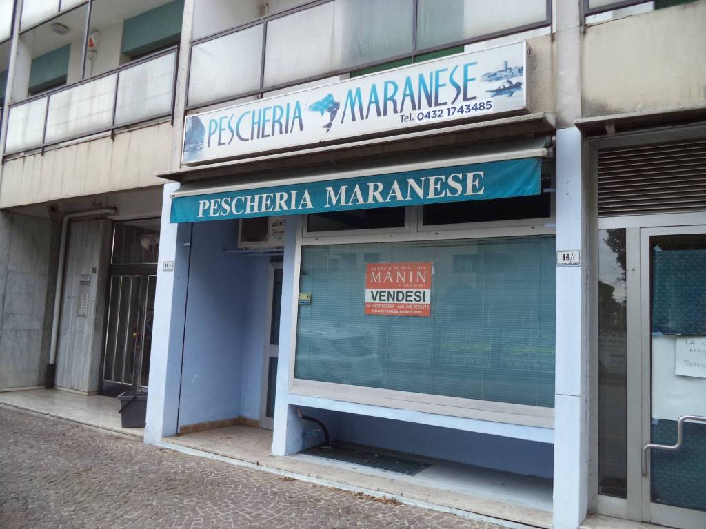 Locale commerciale viale Volontari della Libertà 16, Udine, Rif ...