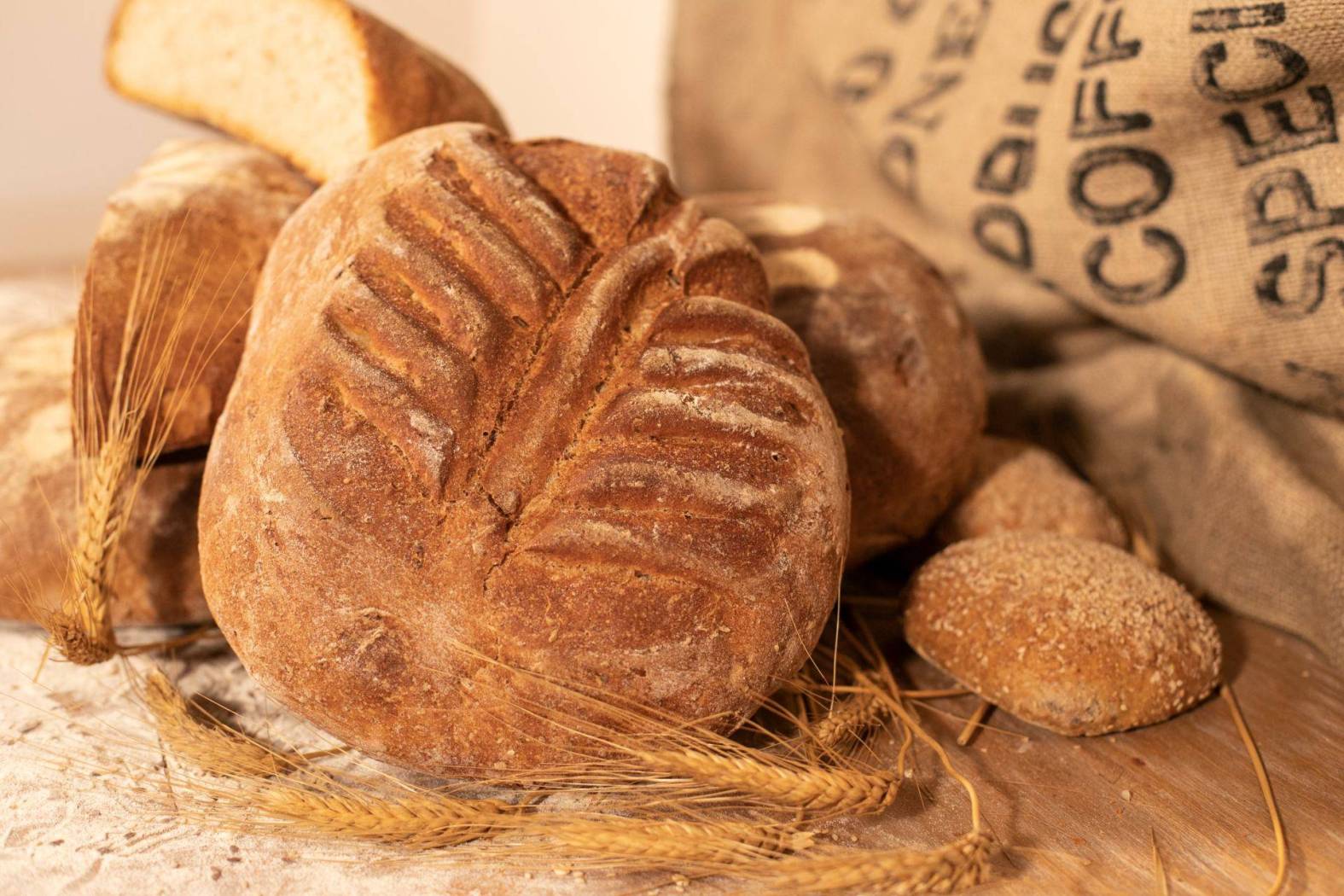 Panificio in Vendita