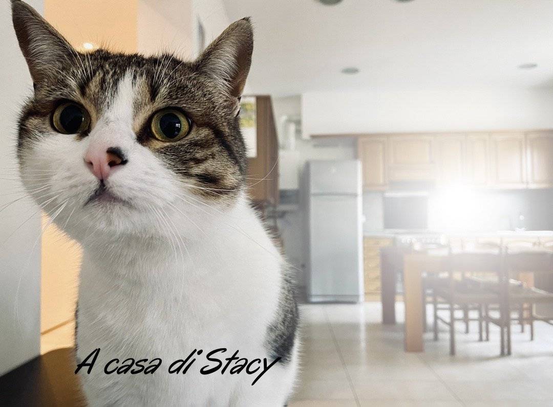 Quadrilocale via Giambattista Salvi, San Francesco - Papa Giovanni XXIII, Jesi