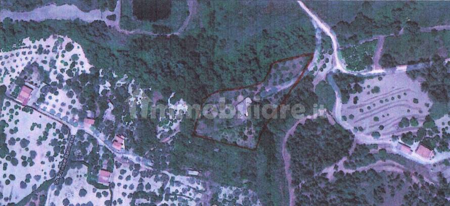 Appartamento, terreno all&#x27;asta Contrada Baronessa, Enna