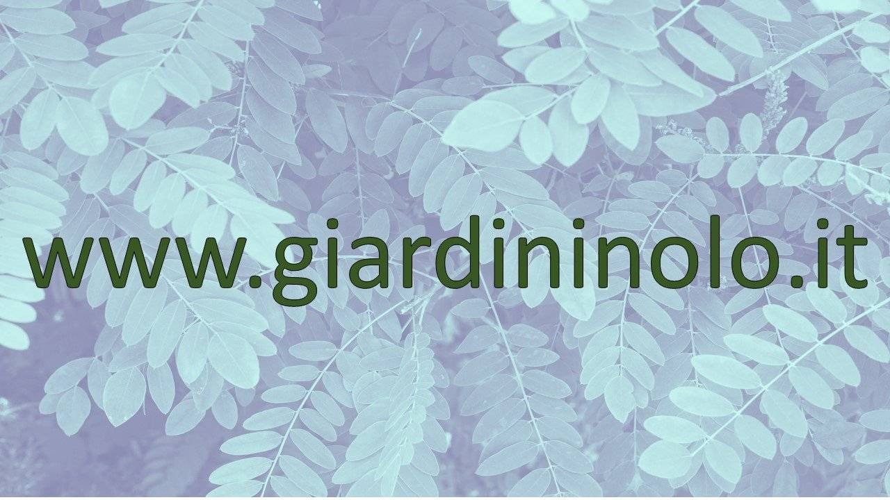 Bilocale via Popoli Uniti 11, Rovereto, Milano