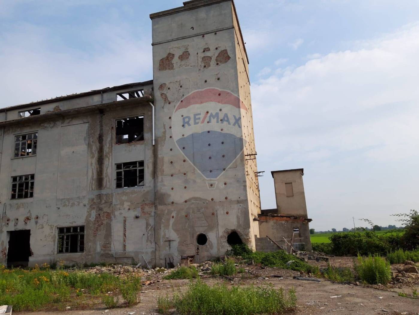 Azienda agricola in Vendita