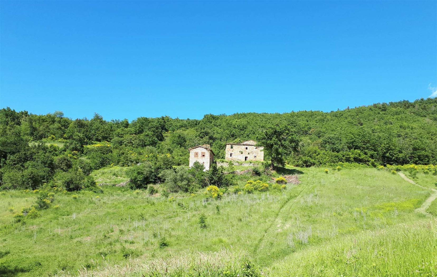 Locale commerciale in Vendita