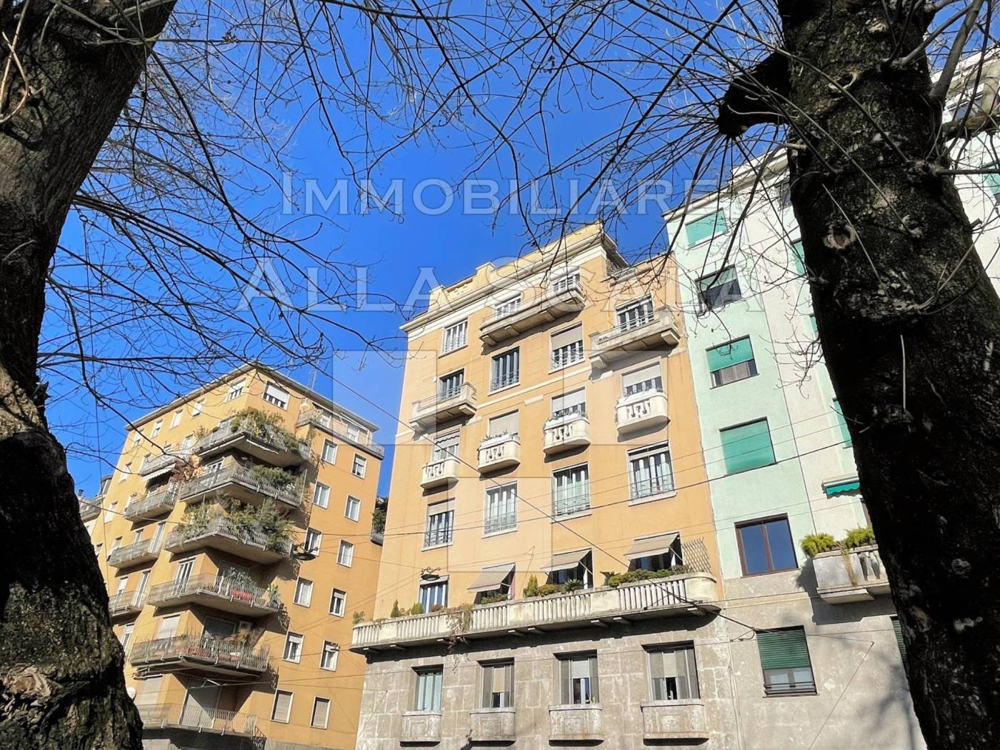 Quadrilocale viale Coni Zugna, Solari, Milano