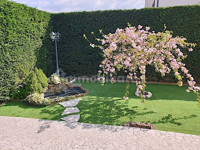 Quadrilocale piazza Umberto I, Centro, Zero Branco