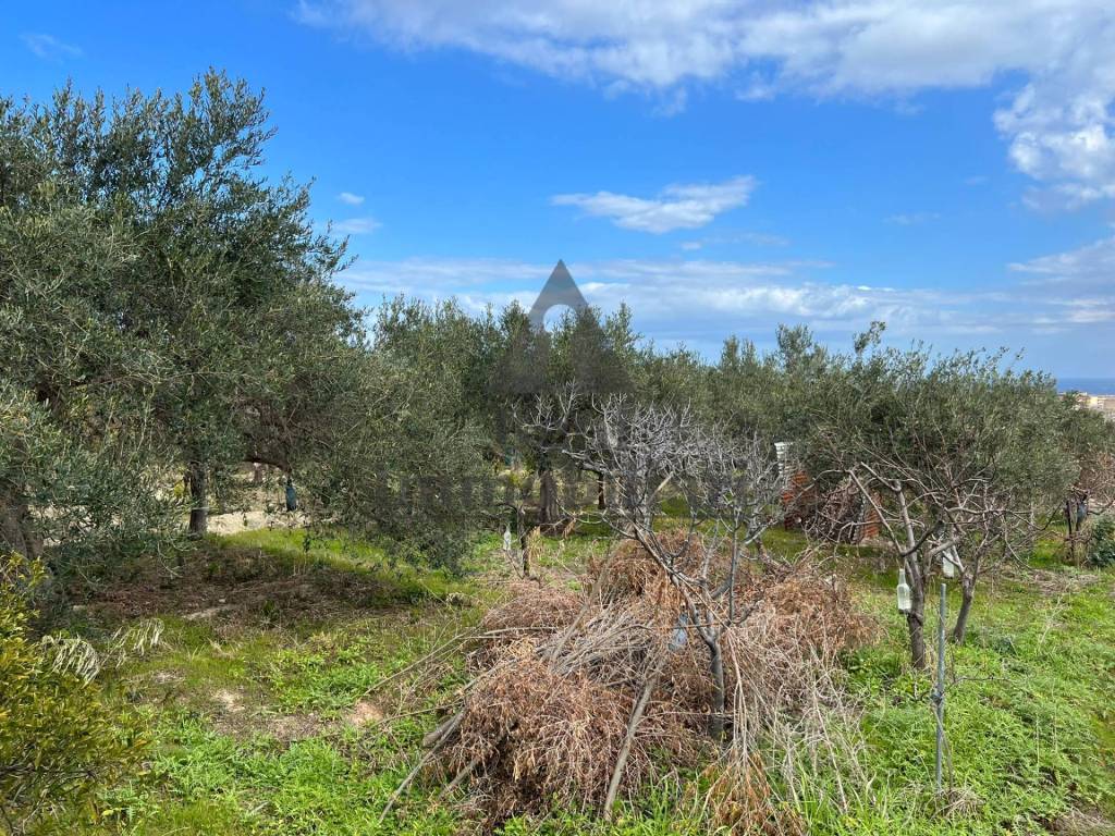 Terreno agricolo Contrada Torre Chiaranda, Santa Flavia, rif. 101038797 ...