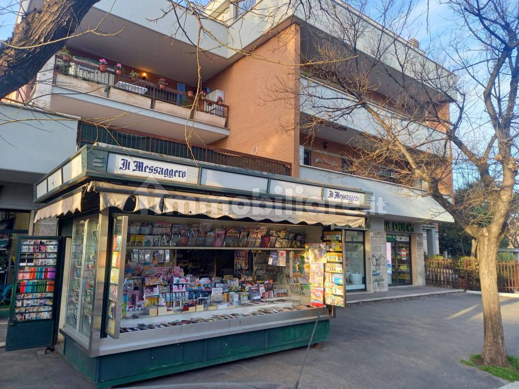 Edicola piazza delle Camelie, Roma, rif. 101073891 - Immobiliare.it