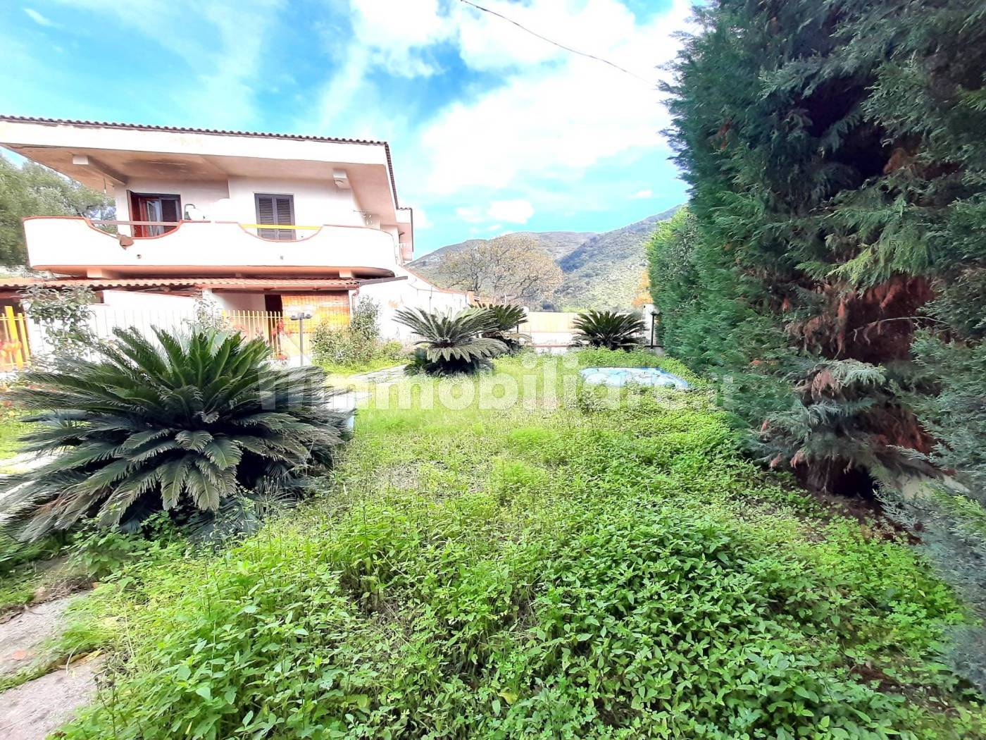 Trilocale SS562d, Centola