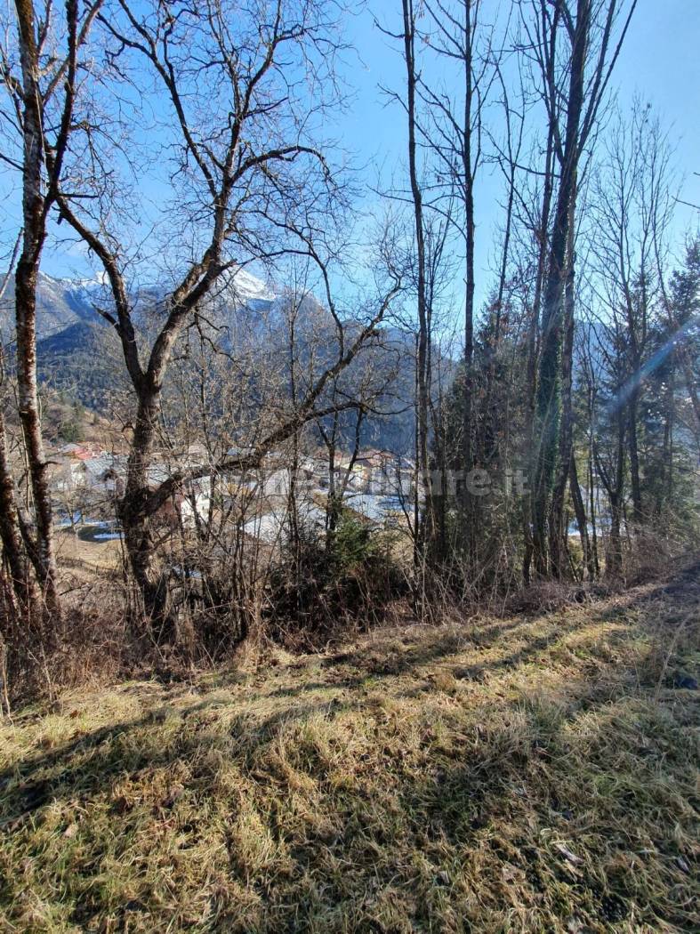 Bilocale nuovo, primo piano, Centro, Domegge di Cadore