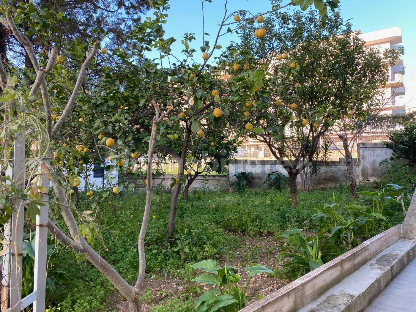 Quadrilocale via dei Garofani 12, Centro, Sciacca