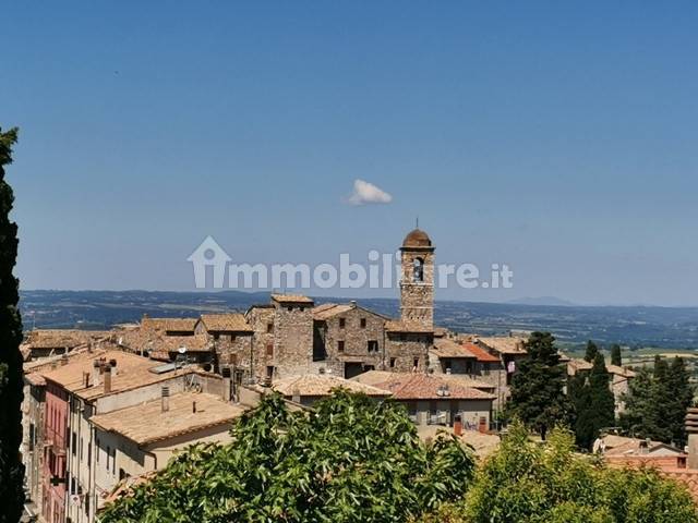 Trilocale buono stato, primo piano, Centro, Montecchio