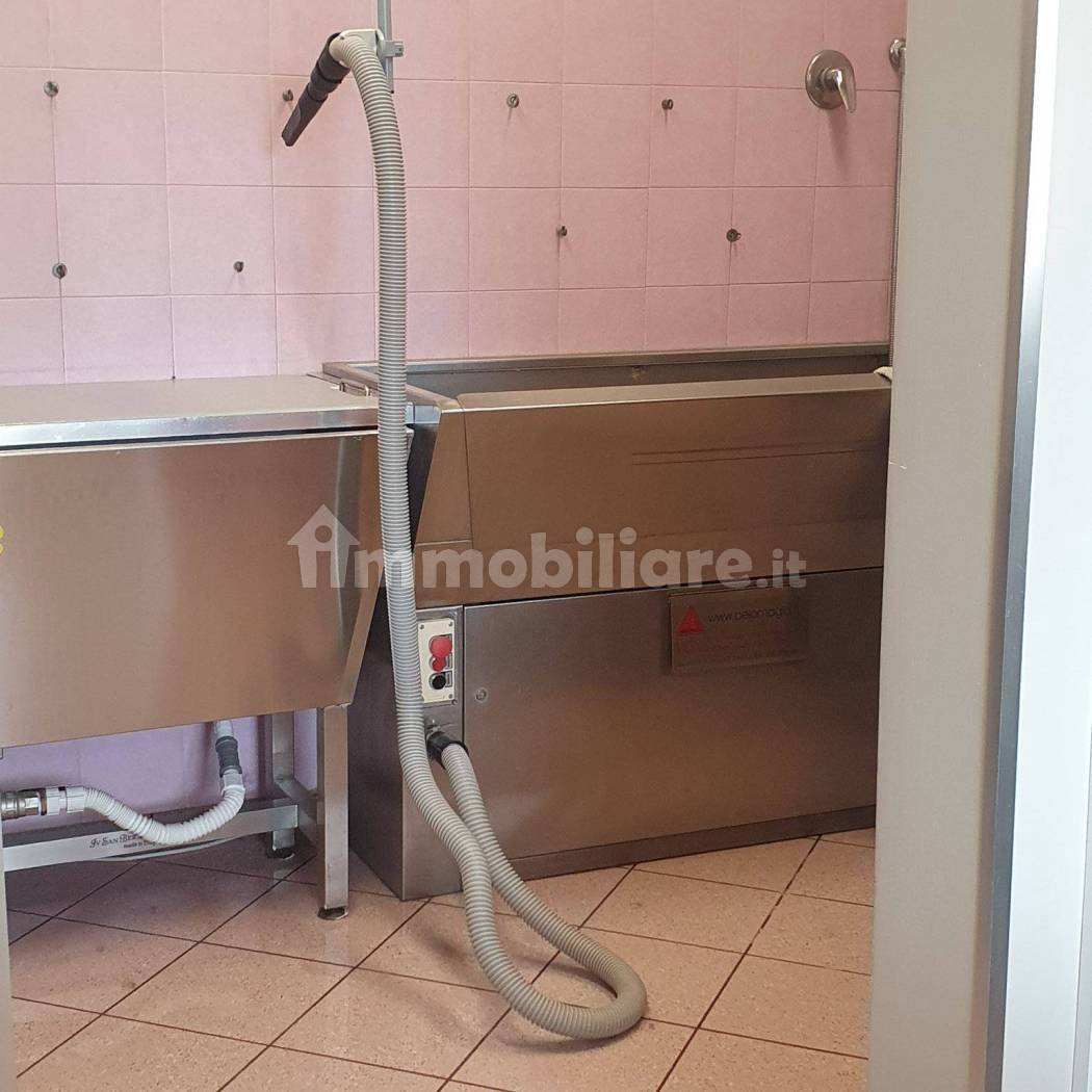 Negozio di toelettatura in Vendita