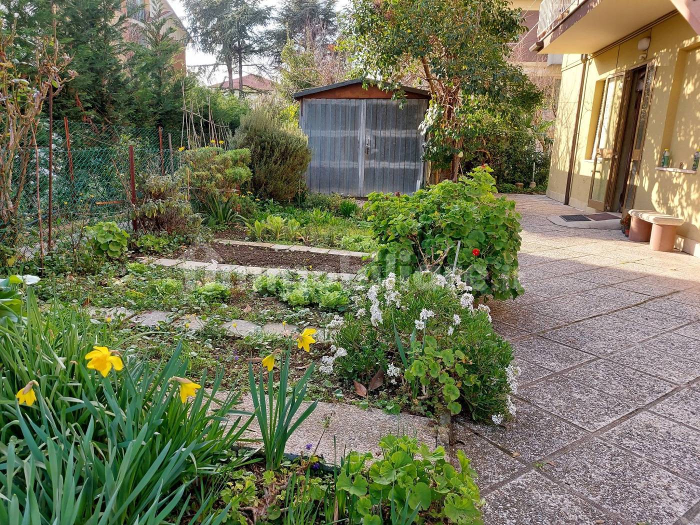 Appartamento via Enrico Tazzoli, Pantano, Pesaro