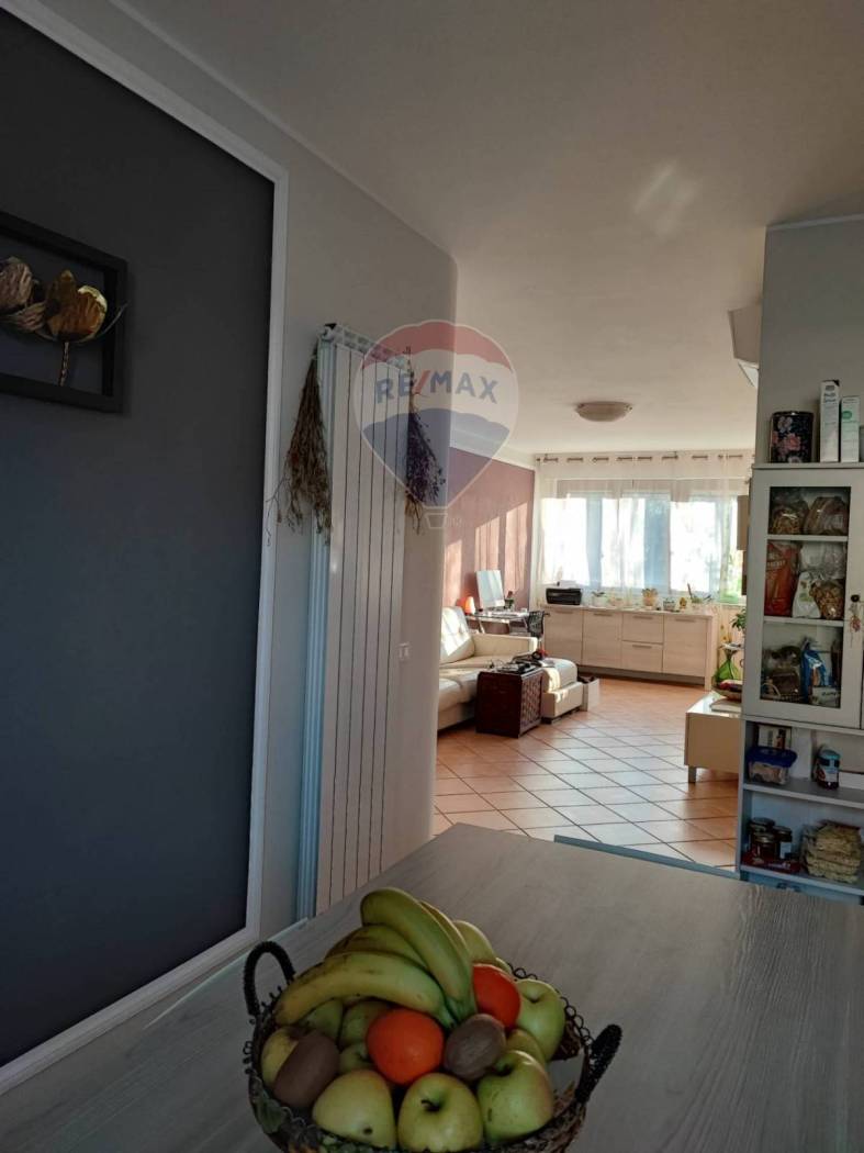 Quadrilocale via Anna Frank 51, Centro, Fermignano