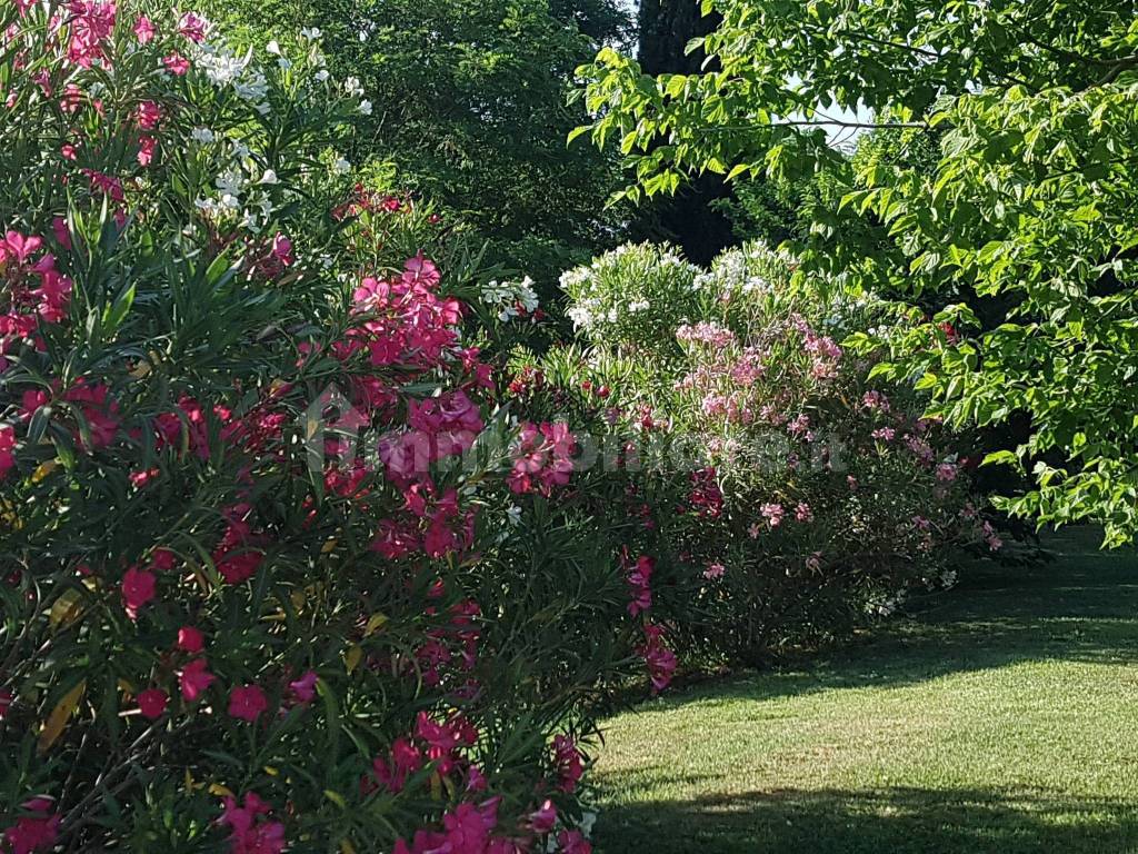 Vendita Casale in via Mario Vianello 50 Perugia. Ottimo stato, posto ...