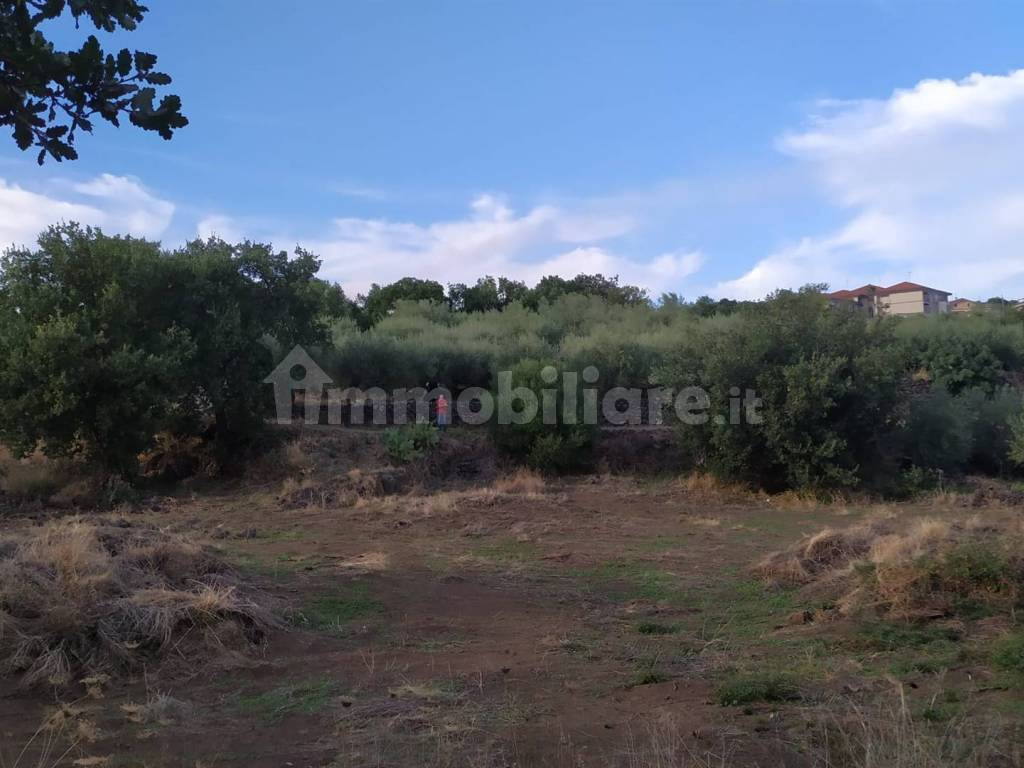 Terreno agricolo via San Gaetano, San Pietro Clarenza, rif. 101897540 ...